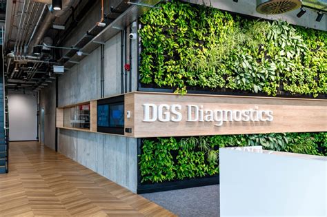 O Nas Dgs Diagnostics Technologia Zespół I Wartości