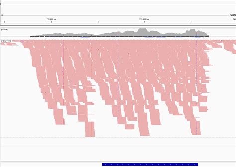 Igv Visualization Pattern For Rna Seq Mapping Seqanswers