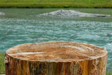 Closeup Shot Of Tree Surface Wooden Background 1742953