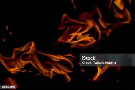 불꽃이 있는 검은 배경에 불타는 불꽃의 아름다운 수평 텍스처 거리에 대한 스톡 사진 및 기타 이미지 거리 나무 낮 Istock