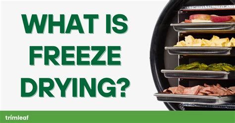 What Is Freeze Drying The Hottest Food Preservation Method Today