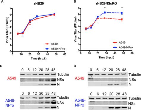 Growth Properties Of Recombinant Viruses A And B Viral Growth Curves