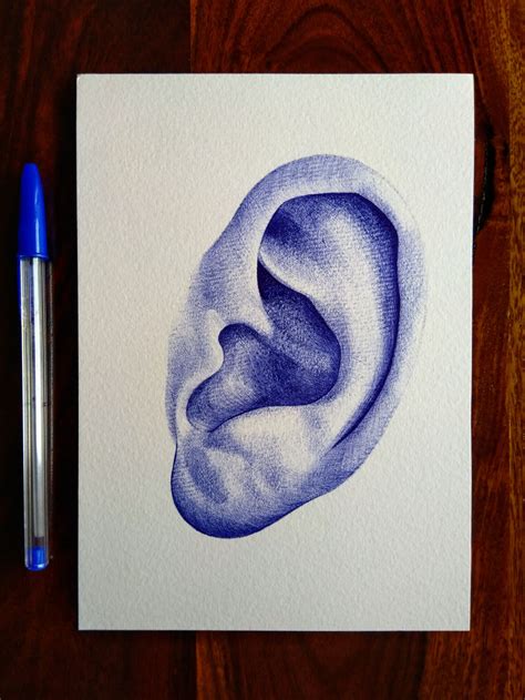 Realistic Ear Sketch Using Ballpoint Pen Ballpoint Pen Art Ink Pen Drawings Pencil Drawing