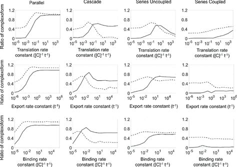 The Discrepancy Between The Deterministic And Stochastic Solutions And