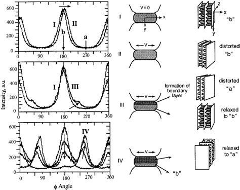 Time Resolved Saxs Data Showing Evolution Of The Domain Orientations