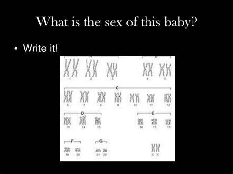 Ppt Mitosismeiosis Jeopardy Powerpoint Presentation Free Download