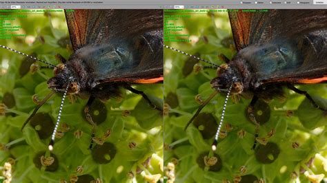 Ai Sharpening Feature Requests Dxo Forum
