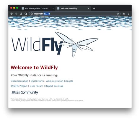 Docker Deploying A Java EE JBoss WildFly Application On AWS Elastic Beanstalk Using Docker