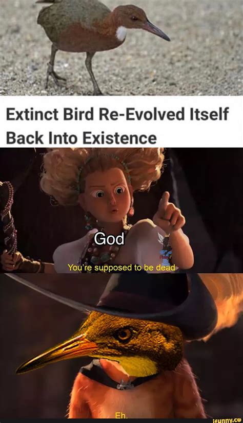 Back In Extinct Bird Re Evolved Existence Itself God Youre Supposed To
