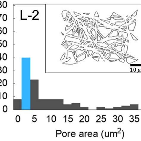 Representative Histograms Of Pore Size Distribution For The Oldest
