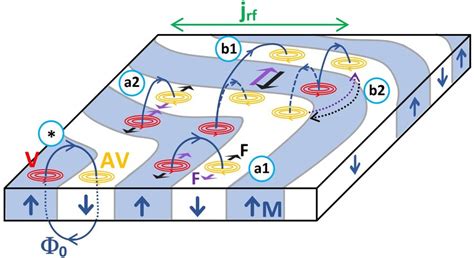 Sketch Of Possible Vortex Antivortex Dynamics Schemes The Crystal Download Scientific Diagram