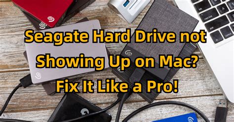 Seagate External Hard Drive not Showing Up on Mac [11+ Fixes]