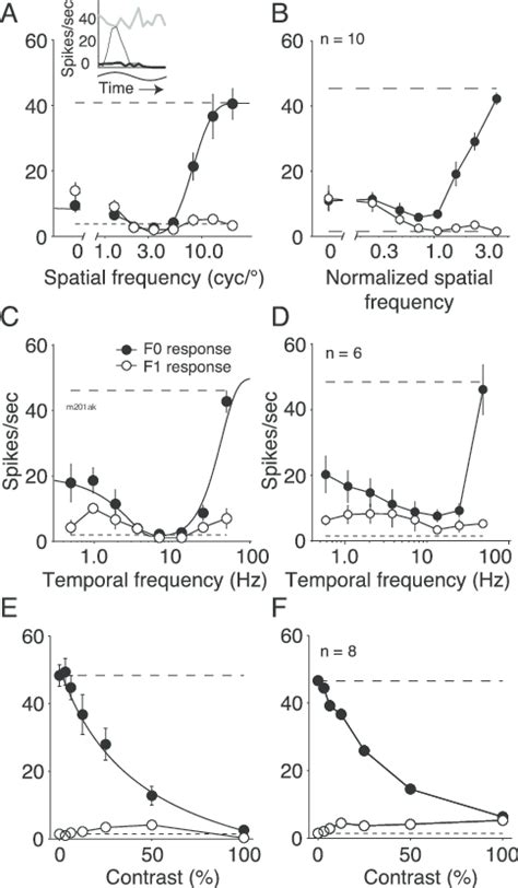 Spatiotemporal Tuning And Contrast Sensitivity Of Download Scientific Diagram