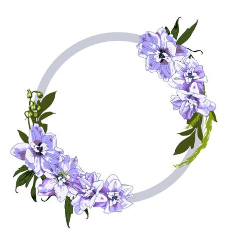 royalty free delphinium clip art vector images and illustrations istock