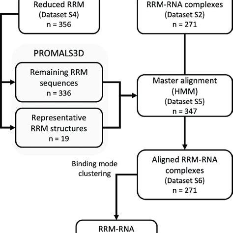 data flow diagram for the rrm structural and sequence data to generate