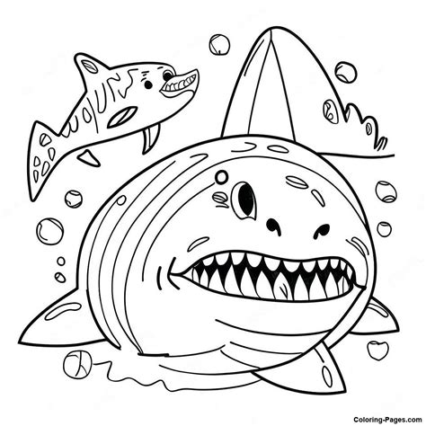 Jaws Clipart Coloring Pages Clipartmag Sketch Coloring Page
