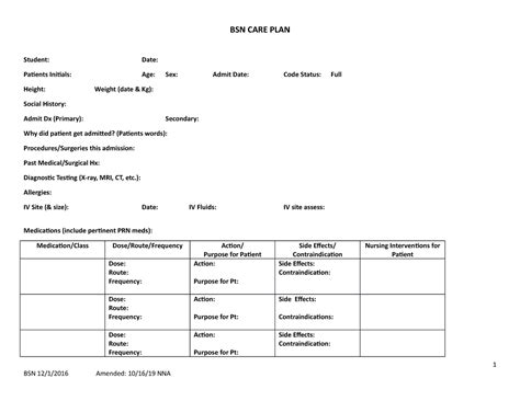 BSN Care Plan Template Babe Date Patients Initials Age Sex Admit Date Code Status