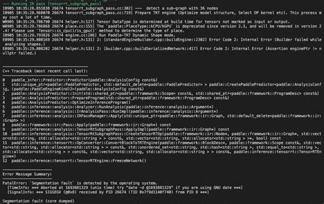 paddle inference预测检测量化模型dino报错 Issue PaddlePaddle Paddle GitHub