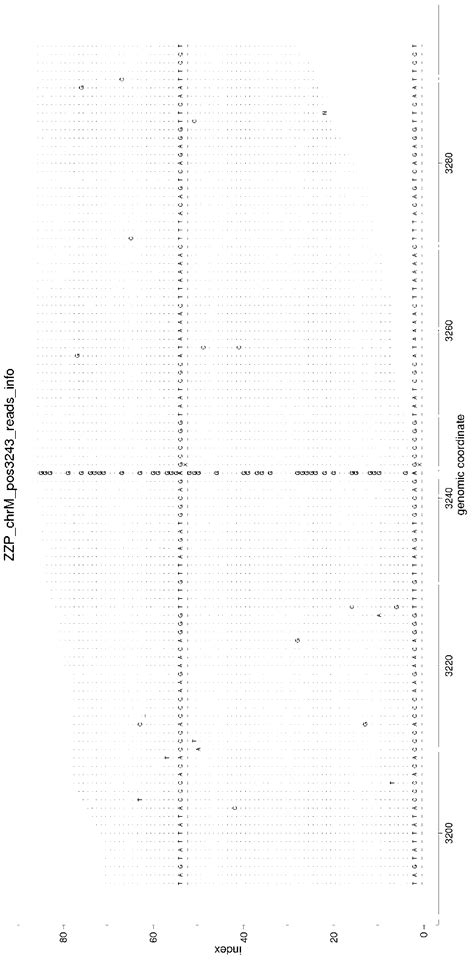 Amplification Method Primer Sequencing Method And Mutation Detection