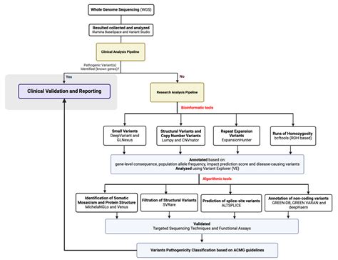 A Dive Into Rare Disease Diagnosis Through Structural And Non Coding