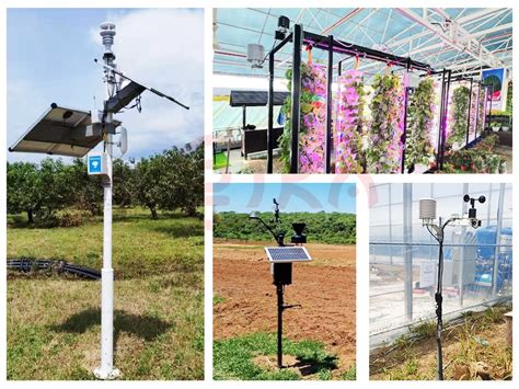 Revolutionizing Agriculture The Role Of Agricultural Sensors Rika Sensors
