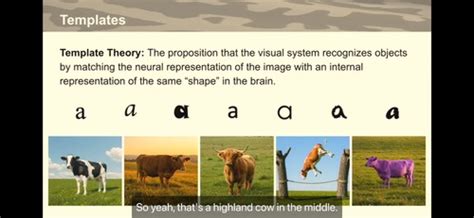Psyc 212 Feb 18th Theories Of Object Recognition Flashcards Quizlet