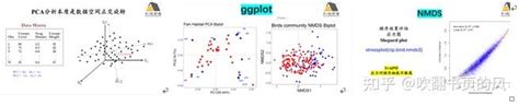 【案例实践】r语言生物群落（生态）数据统计分析与绘图 知乎