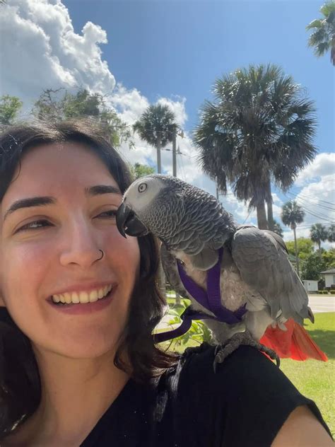 My Special Barney Has Finally Found Pattys Parrot Palace