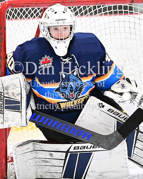 Max Quain Stats Contract Salary And More