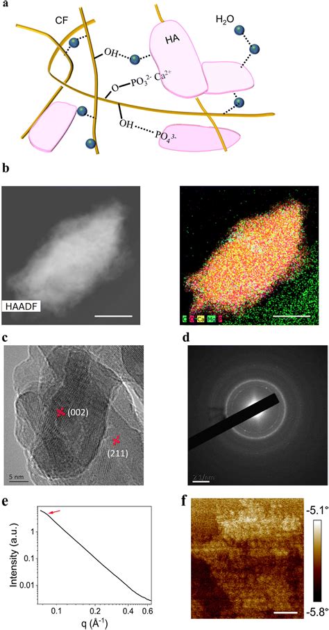 Intensified cross-linking dramatically improved the mechanical ...