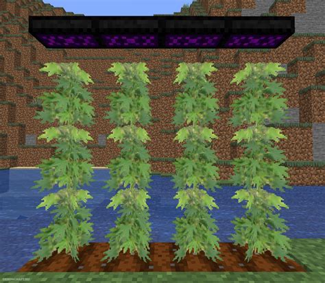 Cannabiscraft 1152 1144 Моды на Майнкрафт Geroncraft
