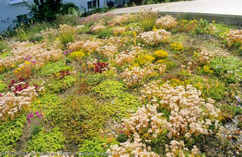 Marianne Majerus Garden Images