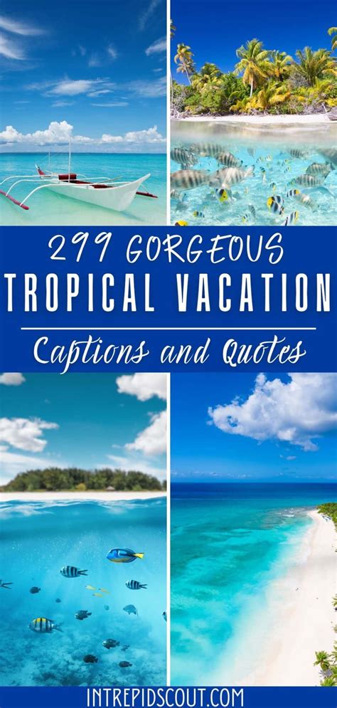 299 Gorgeous Tropical Vacation Captions And Quotes Escape To Paradise