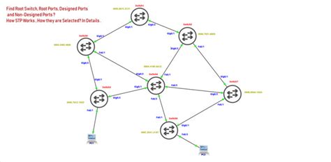 Spanning Tree Protocols Queries