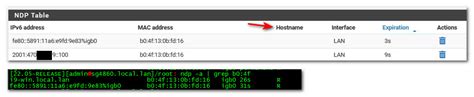 bug 13318 neighbor hostnames in the ndp table on ``diag ndp php`` are