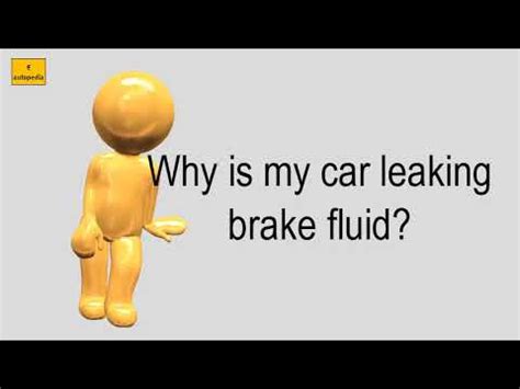 Why Is My Car Leaking Brake Fluid