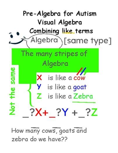Algebra For Autism Combining Variables In Simple Steps With Visual Supports