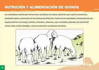 Manual De Crianza De Ganado Ovino Pdf
