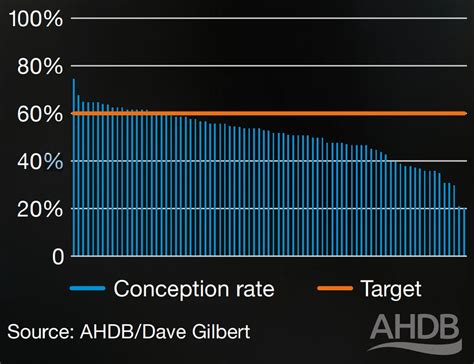 Improving Fertility In Block Calving Herds Ahdb