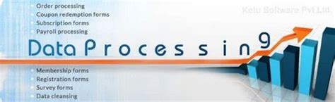 large volume data processing in rajkot id 11425181412