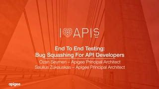 I Love APIs 2015 End To End Testing Bug Squashing For Developers PPT