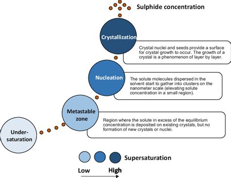 3 Schematic Representation Of The Saturation Zones Driven By The Download Scientific Diagram