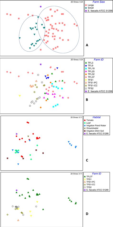 Enterococcus Raffinosus Semantic Scholar