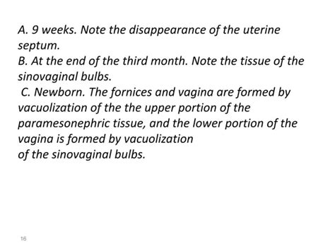 Reproductive System Development Ppt