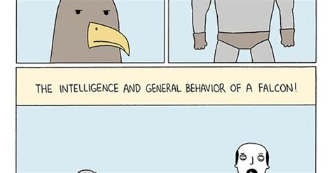 Falcon Man Imgur