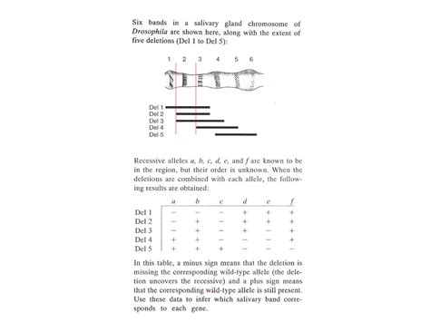 Solved Can You Please Explain This Step By Step