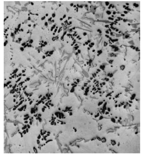Microstructure Of Metal Ingot 3396 Primary Dendrites Of