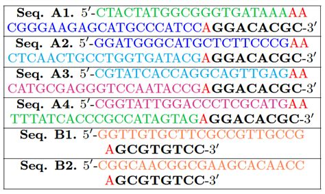 Sequences Of DNA Used In This Study Download Scientific Diagram