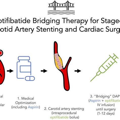 Schematic Of The Eptifibatide Bridging Protocol For Staged Cas And Cts