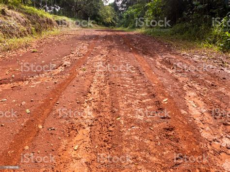 보카 타파다 근처 코스타리카의 열대 우림을 통해 하이킹 0명에 대한 스톡 사진 및 기타 이미지 0명 거친 경관 Istock